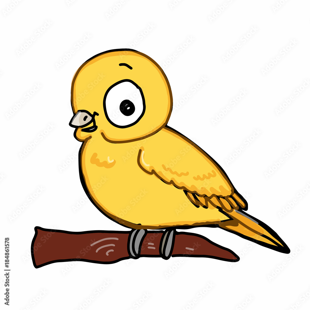 Cute Bird Drawings In Color
