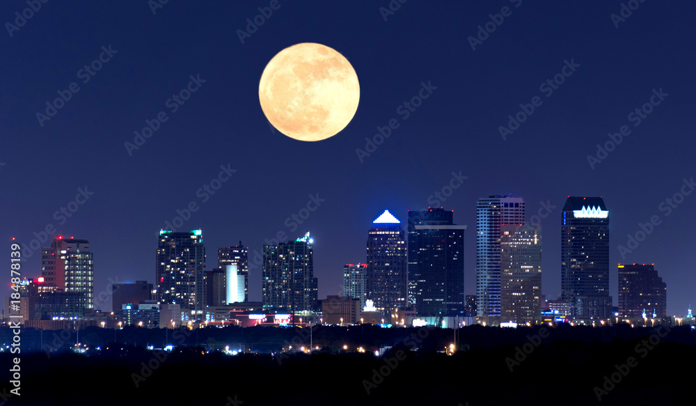 Night view of the Tampa Florida skyline showing skyscrapers with lights ...