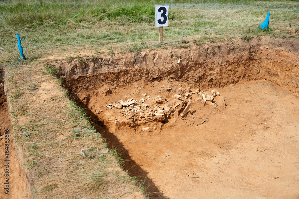 Archaeological excavations. In archaeology, excavation is the exposure ...