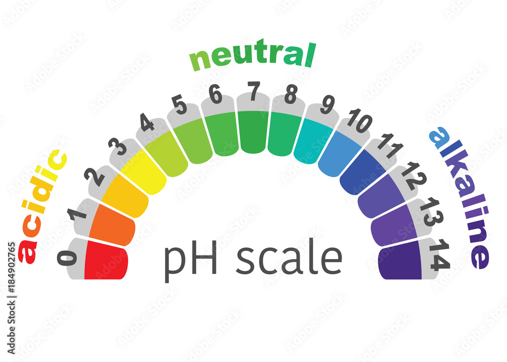 Vecteur Stock scale of ph value for acid and alkaline solutions ...