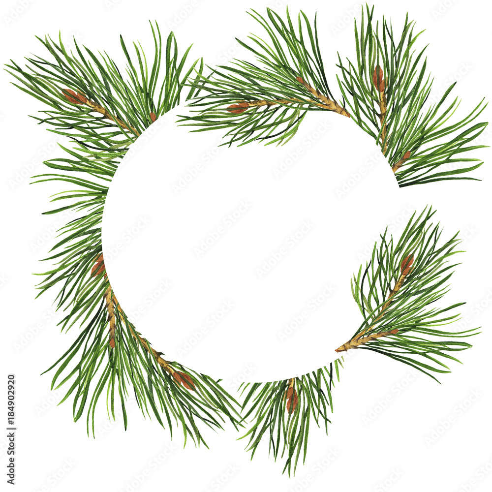 Pine branch circle isolated on white background. Design for logo ...