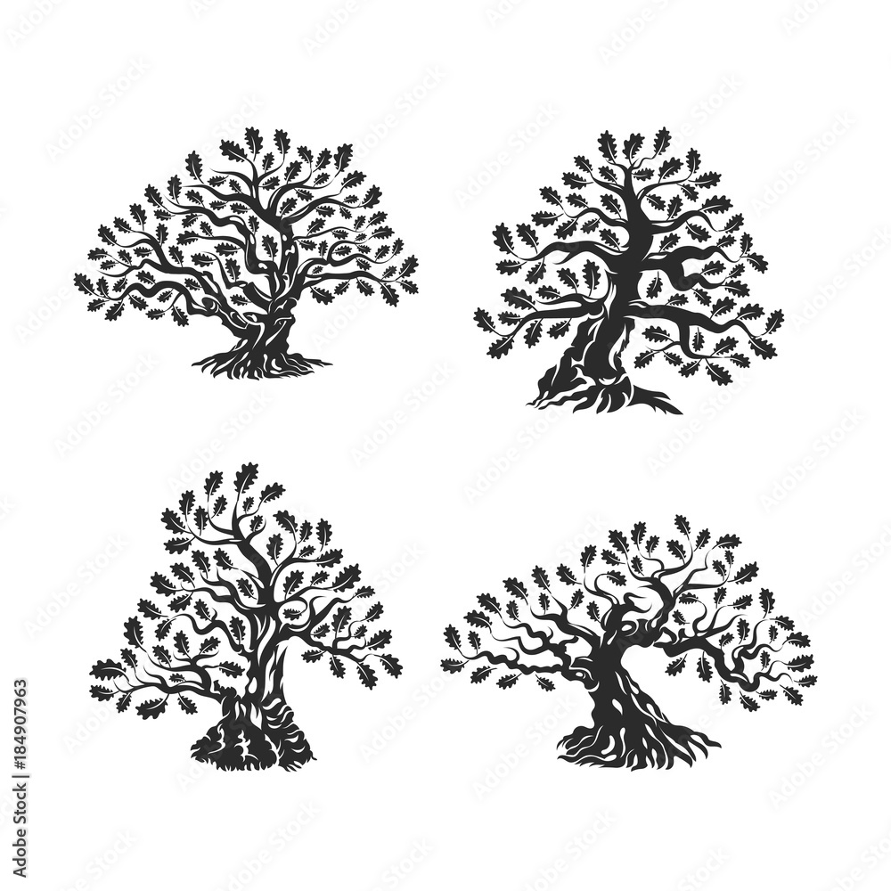 Huge and sacred oak tree silhouette logo isolated on white background ...