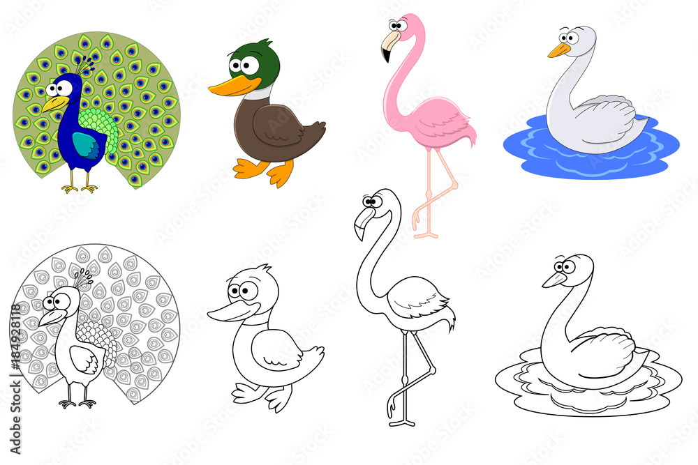 Coloring page set with different birds Stock Vector | Adobe Stock