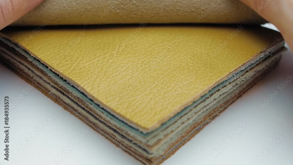 Fingers sort different samples of colorful skin in the pile. Carefully ...