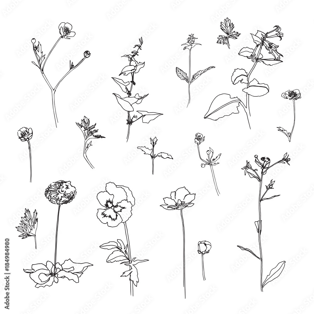 Set of hand drawn outline of flowers with leaves. Sketch or doodle ...