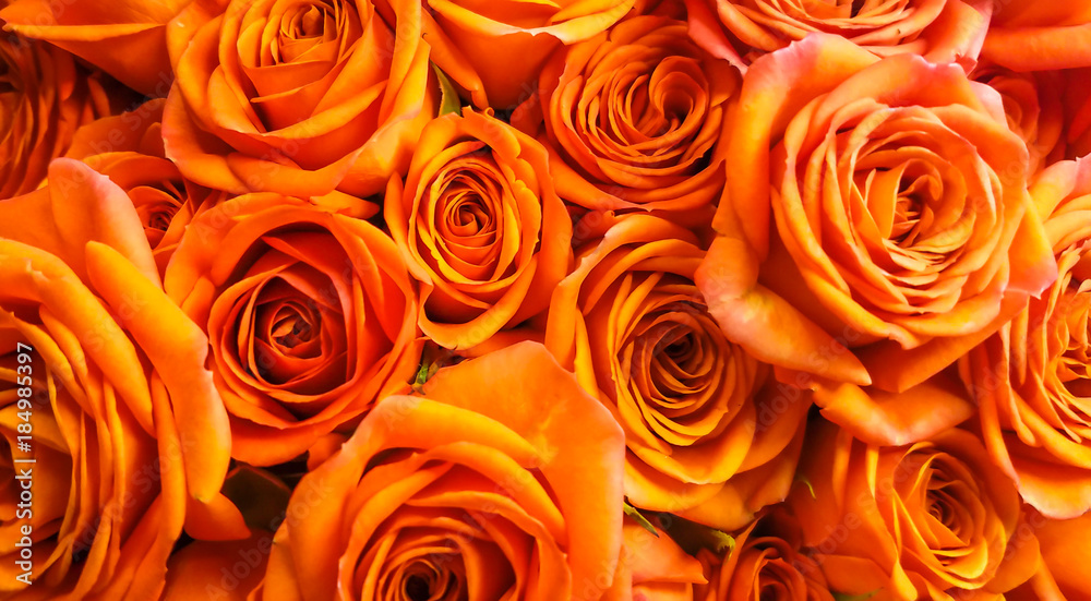 Beautiful orange roses bouquet background Stock Photo | Adobe Stock