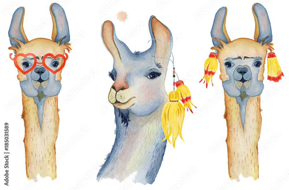Cute Llama cartoon characters set watercolor illustration, Alpaca ...