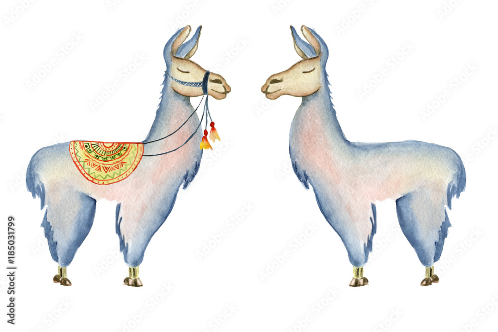 Cute Llama cartoon characters set watercolor illustration, Alpaca ...