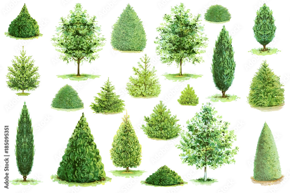 Trees illustration vector collection. Can be used to illustrate any ...
