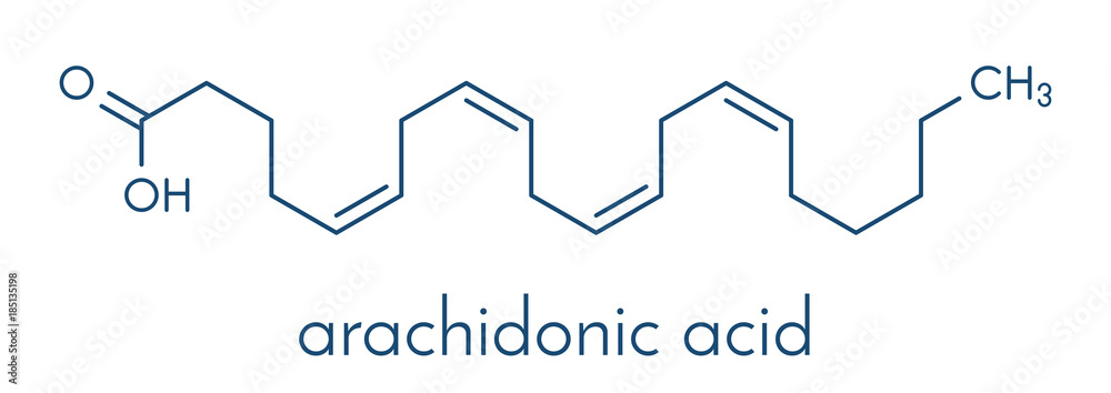 Arachidonic Acid