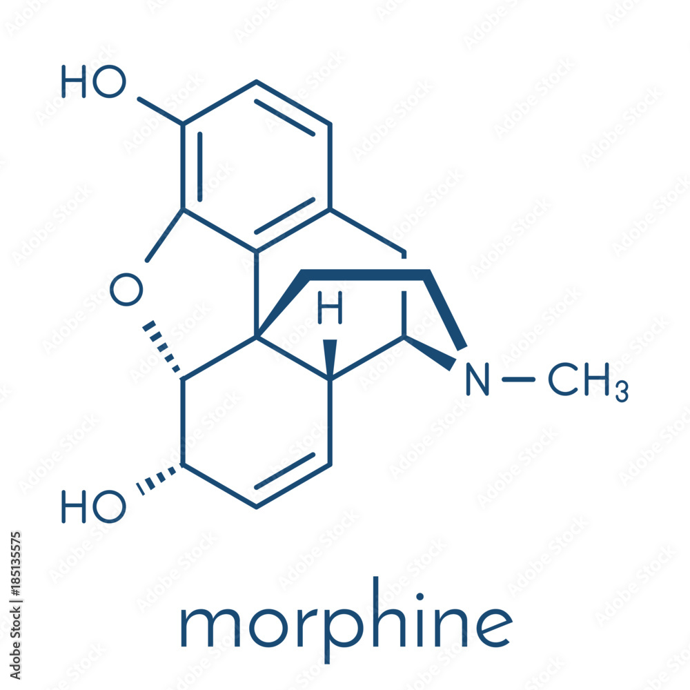 Morphine pain drug molecule. Highly addictive. Isolated from opium poppy (papaver somniferum ...
