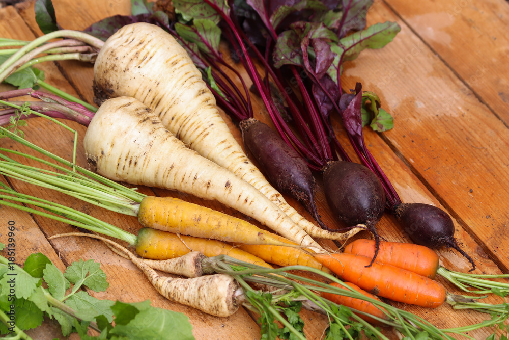 Wurzelgemüse Stock-Foto | Adobe Stock