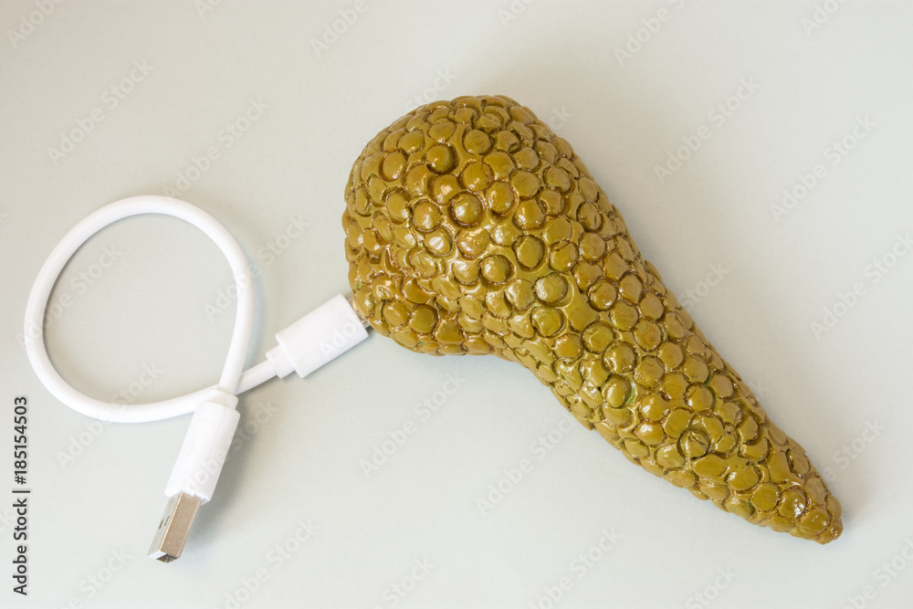 3D shape of pancreas with connected by charging cord, cable or for ...