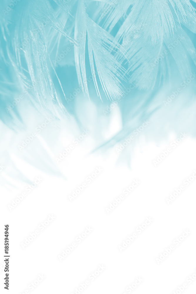 green turquoise vintage color trends feather texture background Stock ...