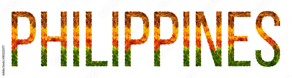 word philippines country is written with leaves on a white insulated ...