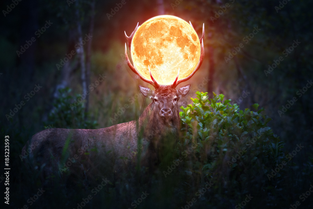 Deer Stag carrying the Moon in his Antlers. Stock Photo | Adobe Stock