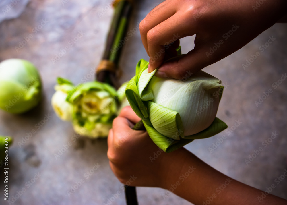 How To Fold Lotus Flower For Praying | Best Flower Site