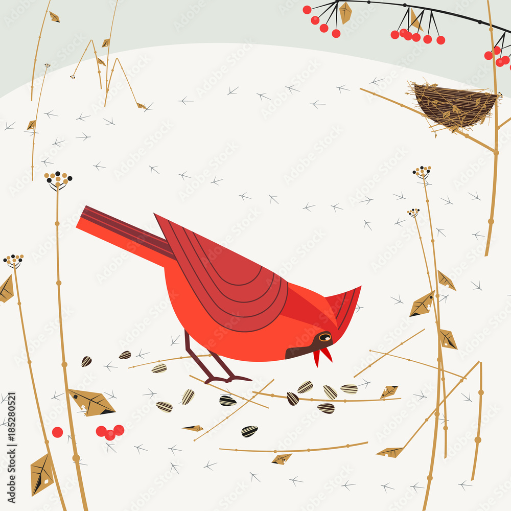Cute Red Northern cardinal birds poster. Comic flat cartoon. Minimalism ...
