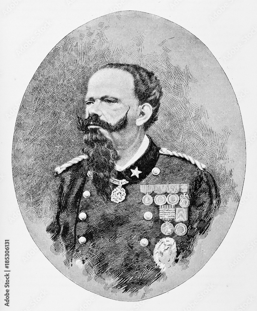 Ancient bust portrait inside a oval frame of Vittorio Emanuele II (1820 ...