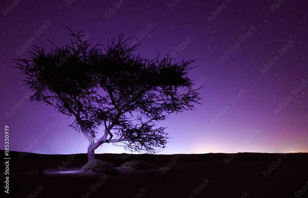 Night Sky Most Beautiful Paper