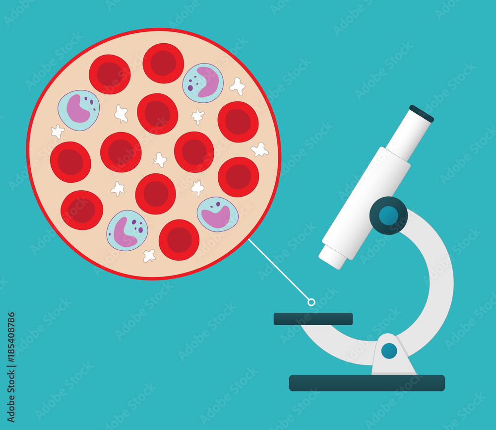 Microscope viewing hand drawn red blood cells. Vector illustration ...