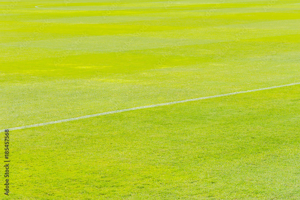 Green grass in soccer stadium. soccer field grass with stadium on blue ...