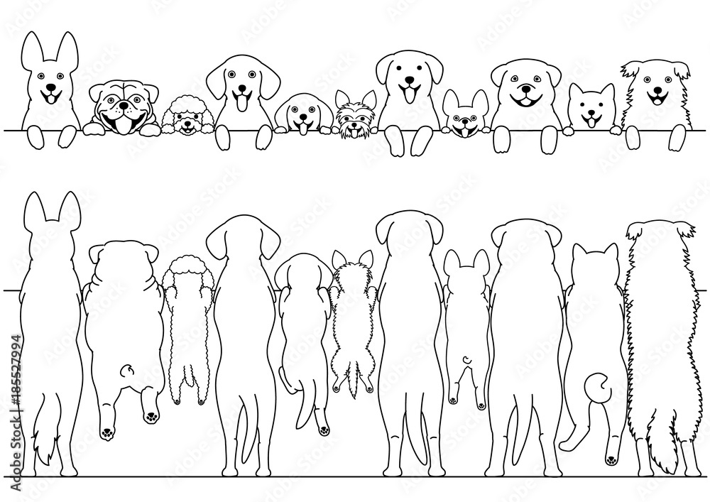 standing dogs front and back border set Stock Vector | Adobe Stock