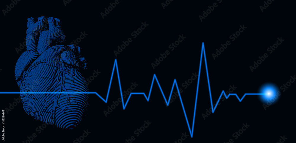Blue human heart illustration with heart rate pulse Stock Vector ...