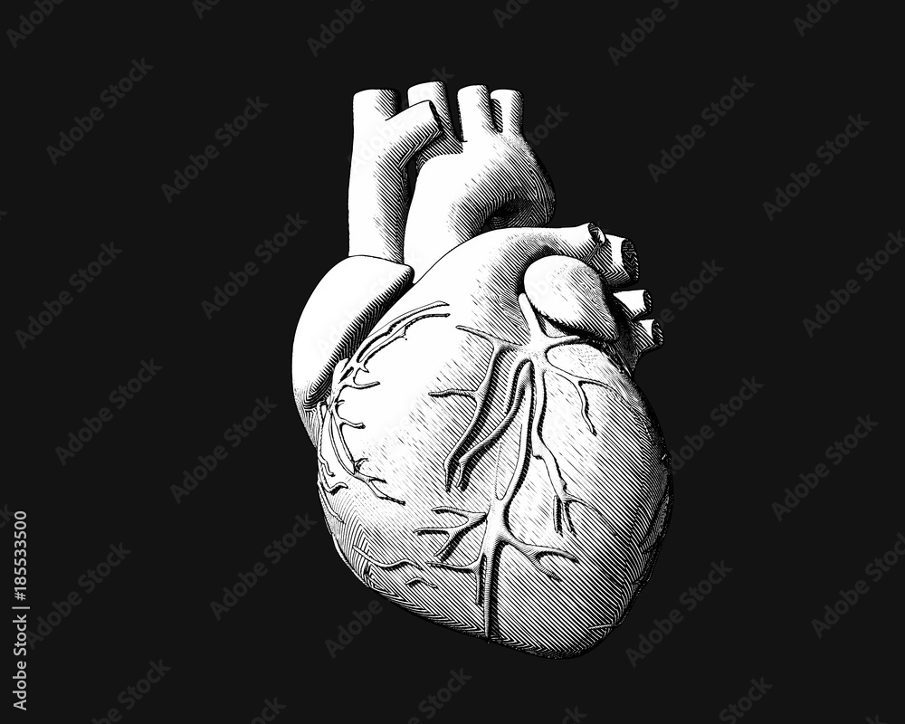 Dark Human Heart