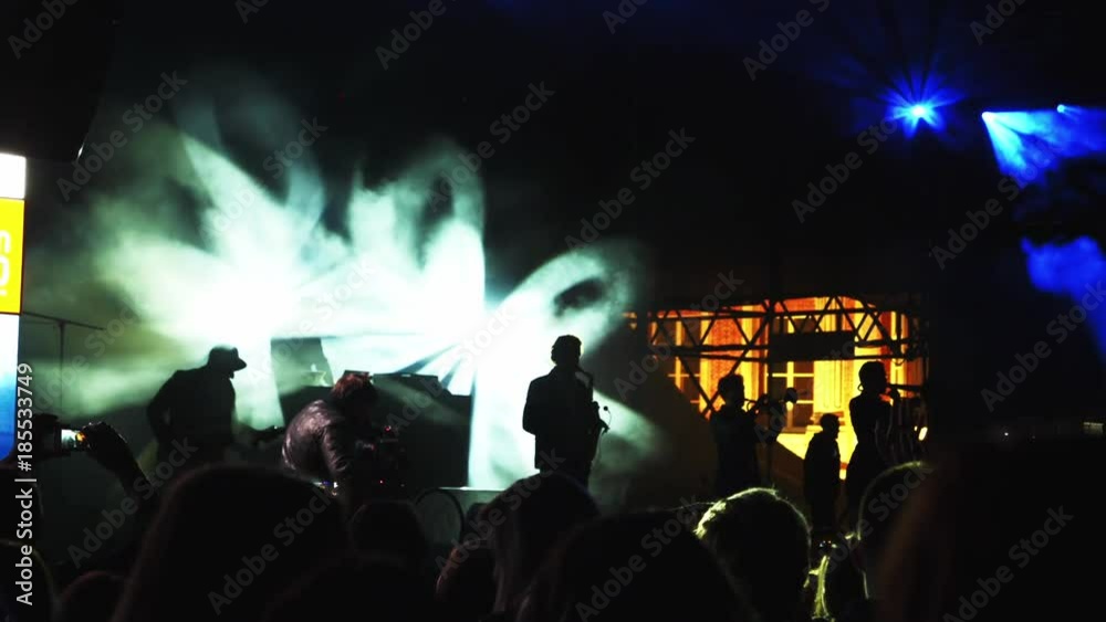 Iconic night rock concert front row crowd cheering slomo 100p.Night ...