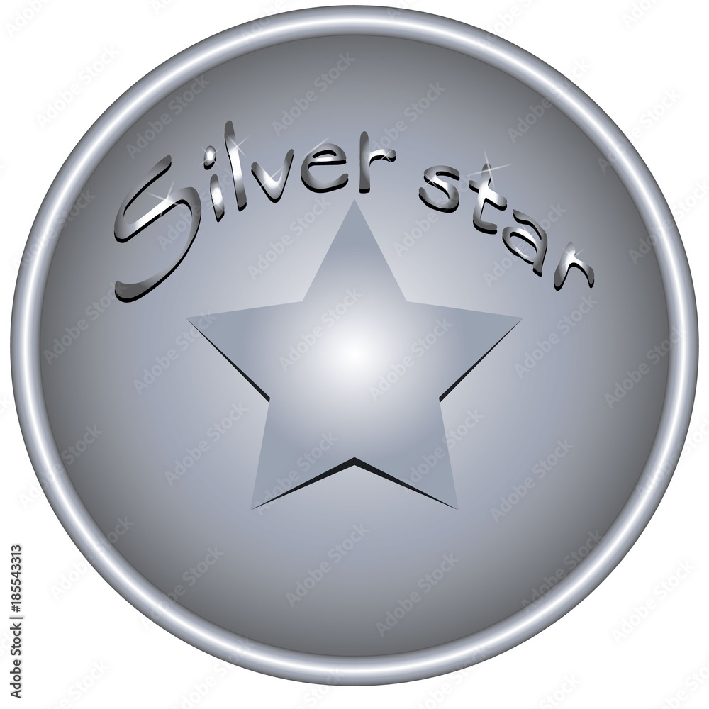 logo Silver star Stock Vector | Adobe Stock