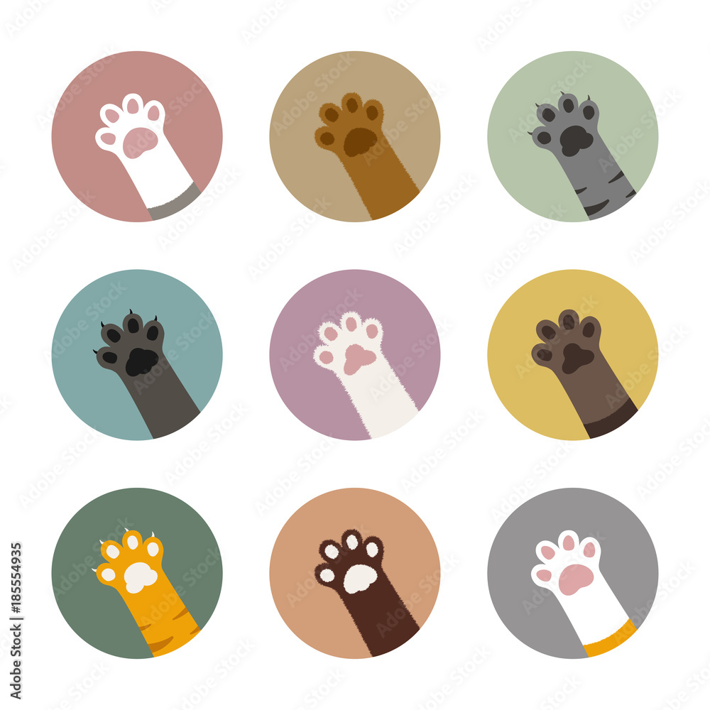 colorful cat paws in circles set, cat paws bundle, cat vector ...