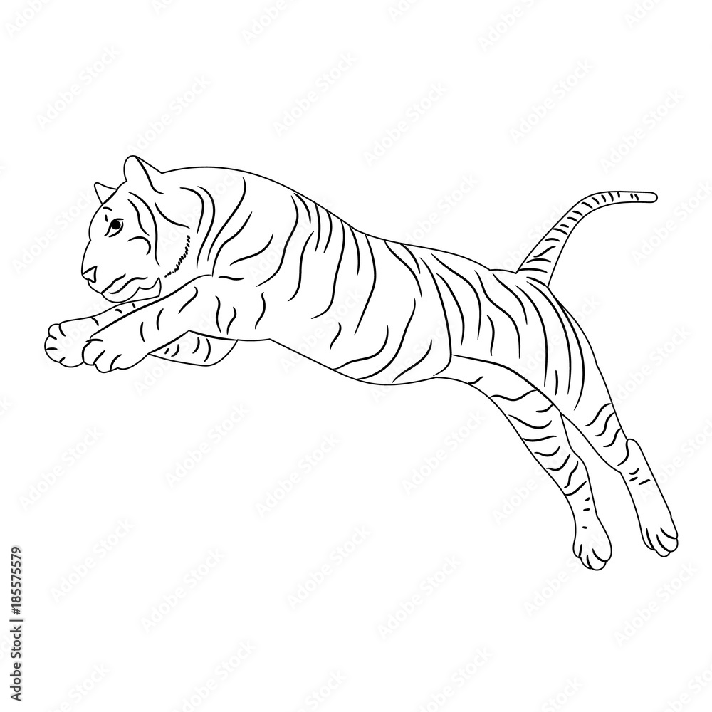 Tiger Pouncing Drawing
