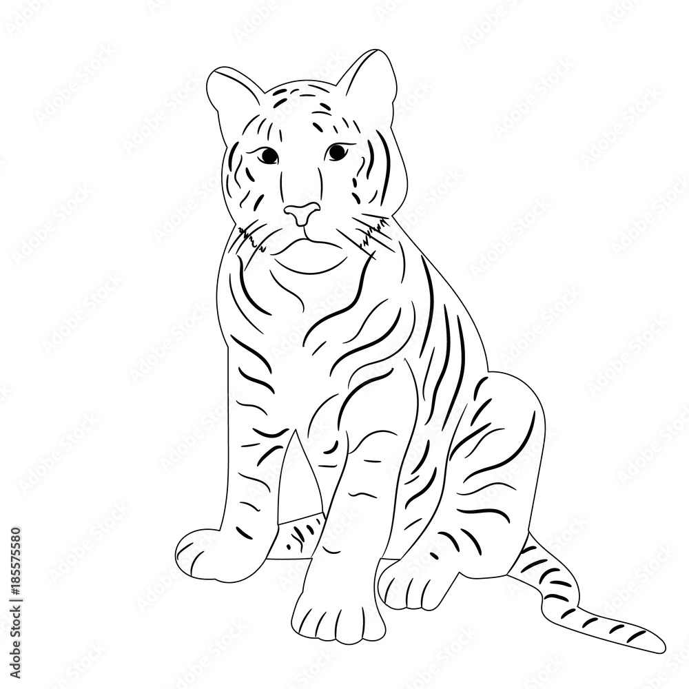 sketch of a tiger sitting Stock Vector | Adobe Stock