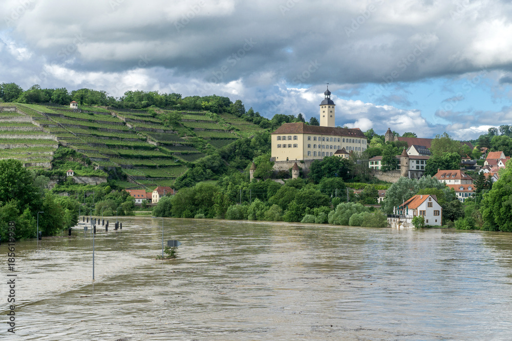 Hochwasser am Neckar Stock Photo | Adobe Stock
