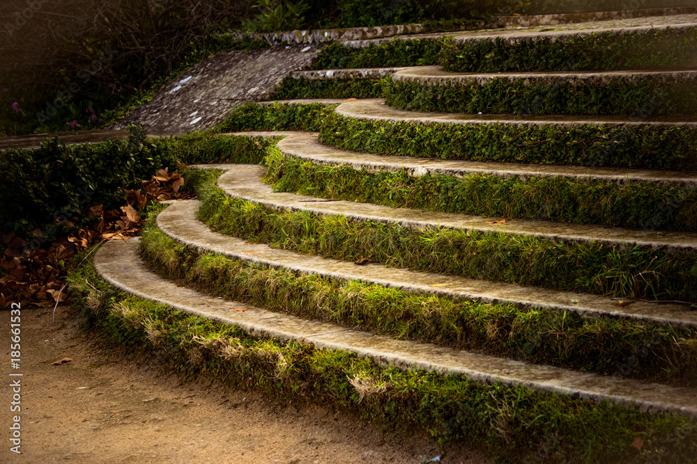 Steintreppe mit Moos bewachsen Stock Photo | Adobe Stock