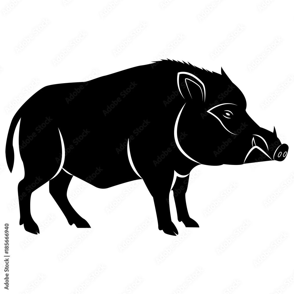Vector, flat image of a wild boar on an isolated white background Stock ...