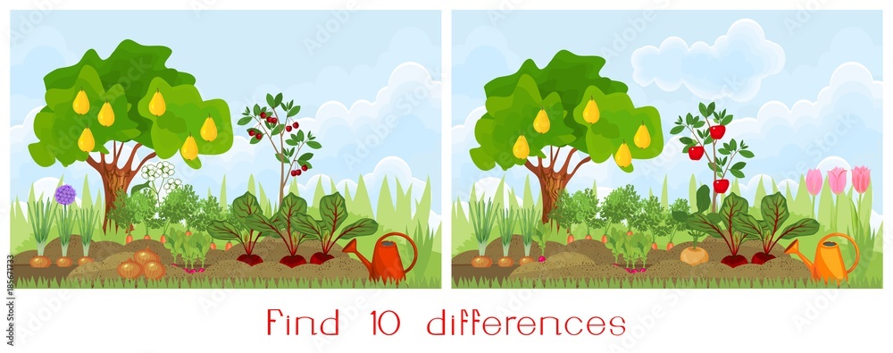 Find ten differences visual pictures. A game for children. Garden in ...