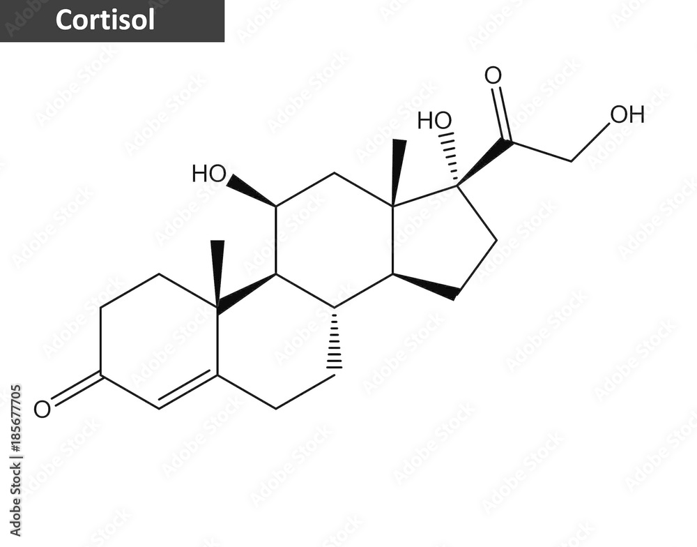 Cortisol Structure