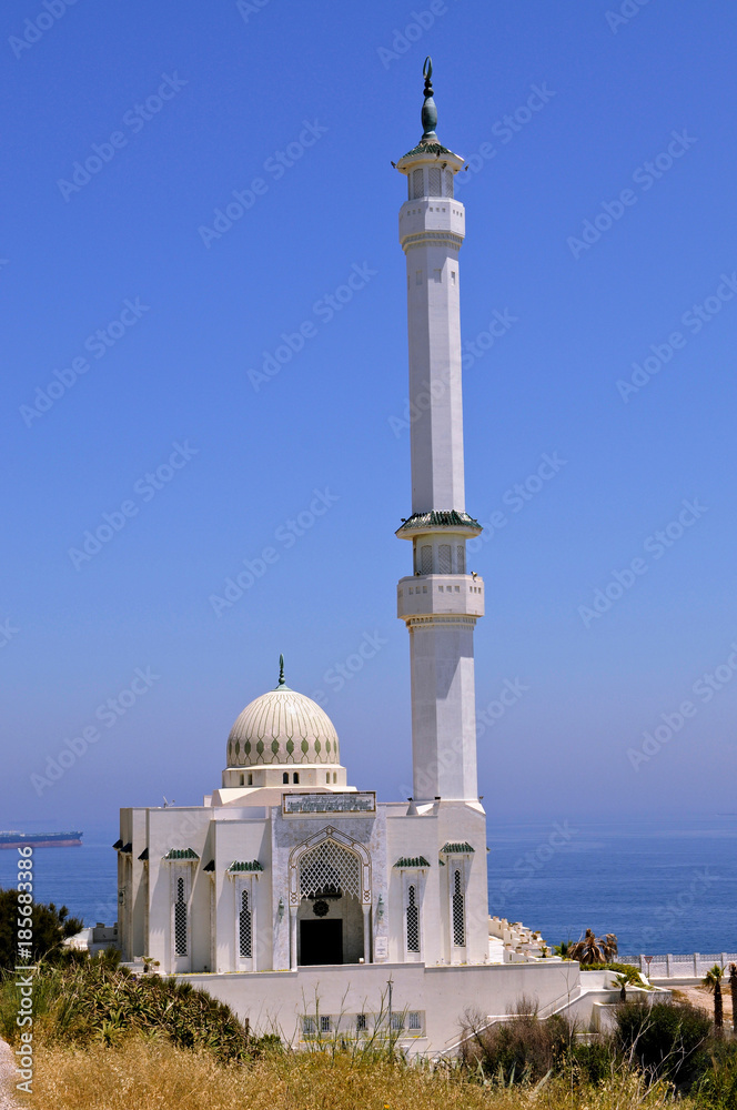 Ibrahim-al-Ibrahim Mosque, The King Fahd bin Abdulaziz al-Saud Mosque ...