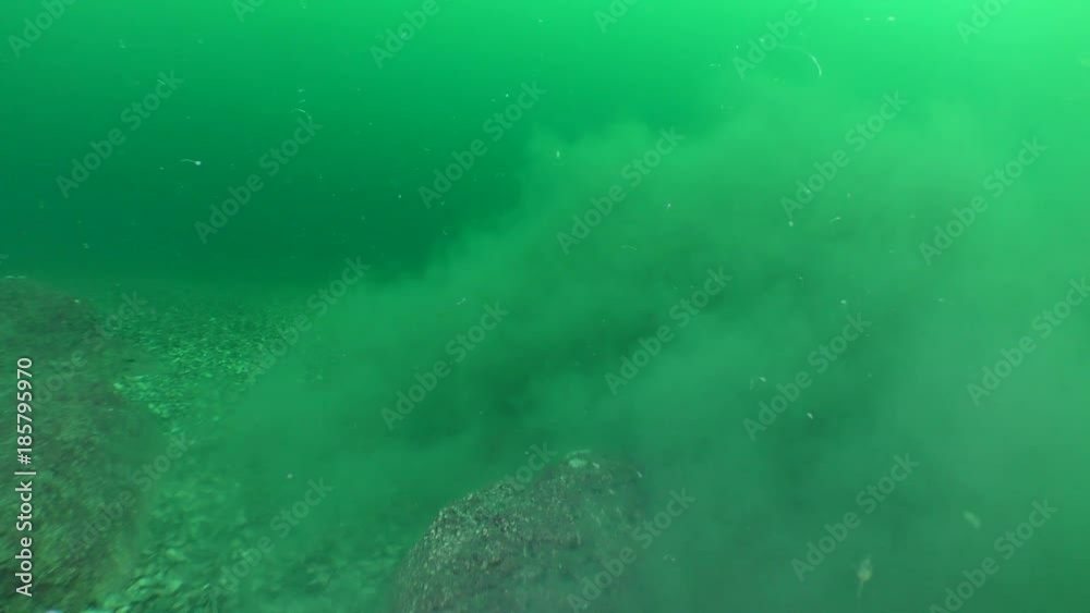It looks like an underwater explosion: A cloud of turbidity raised from ...
