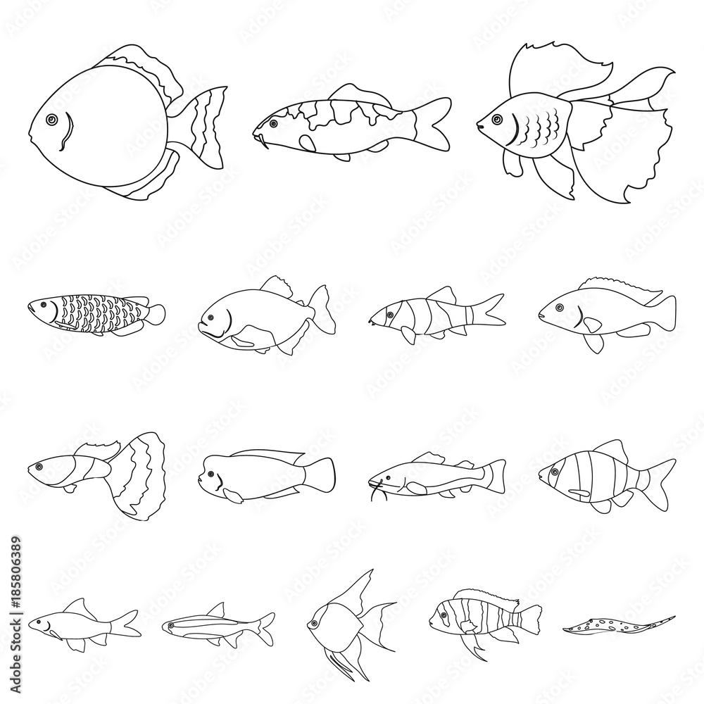Different types of fish outline icons in set collection for design ...