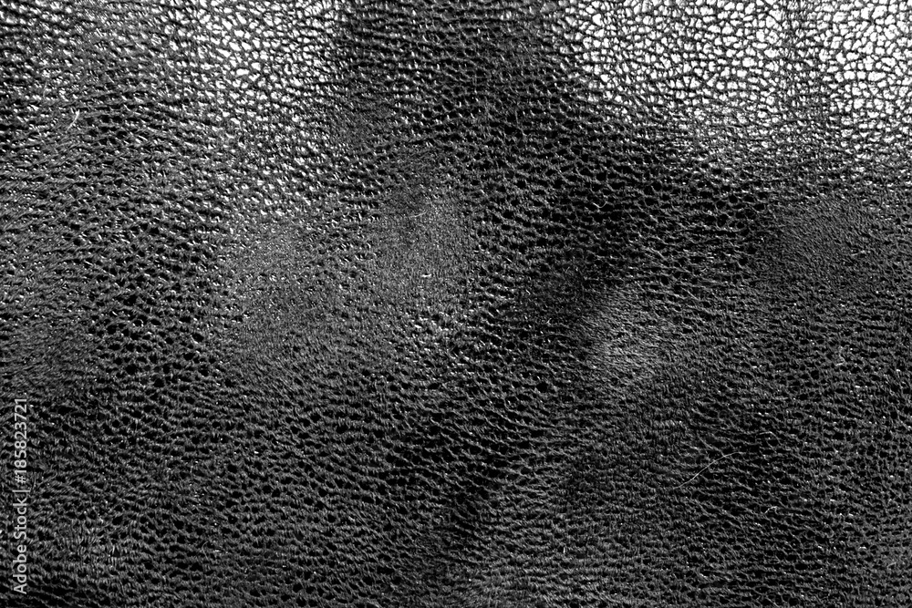 Leather texture in black and white. Stock Photo | Adobe Stock