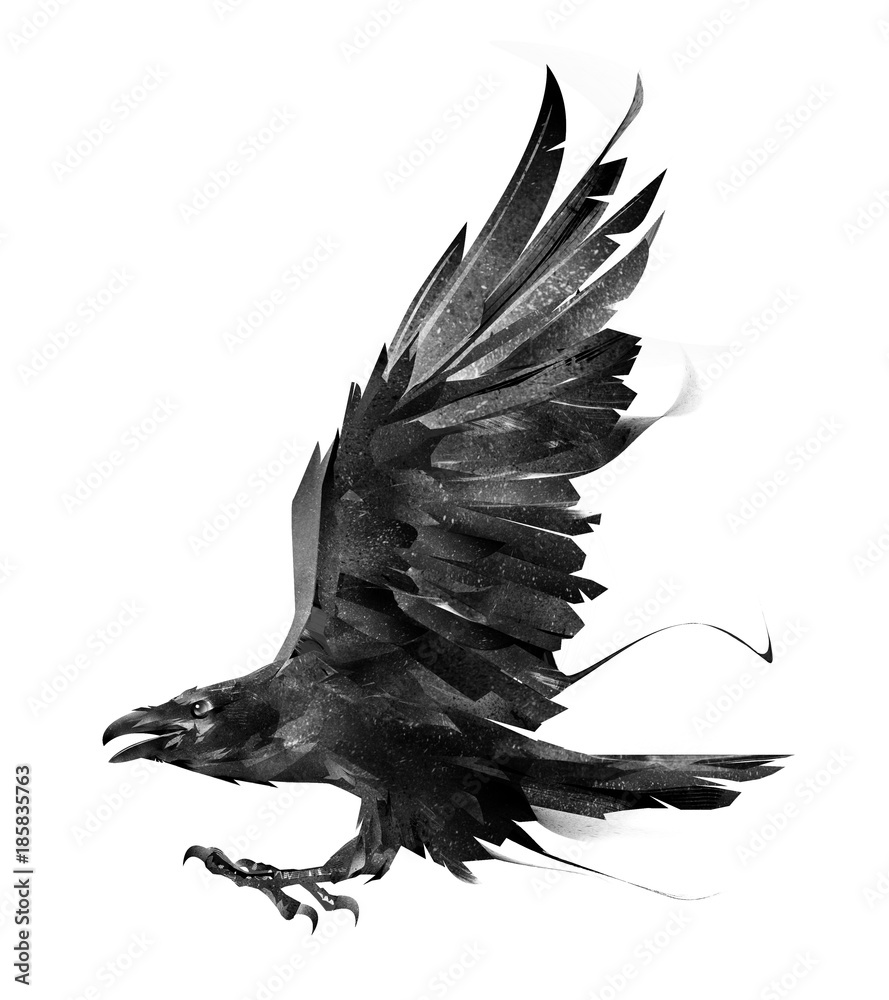 sketch of a flying bird Raven on white background side view Stock ...