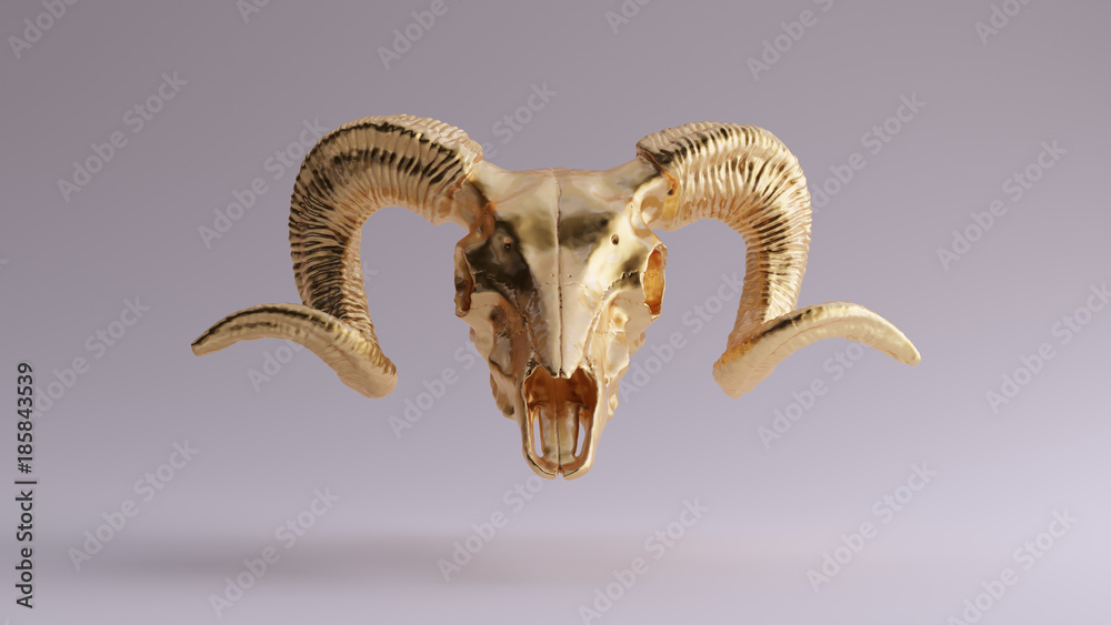 Gold Ram Skull Stock Illustration | Adobe Stock