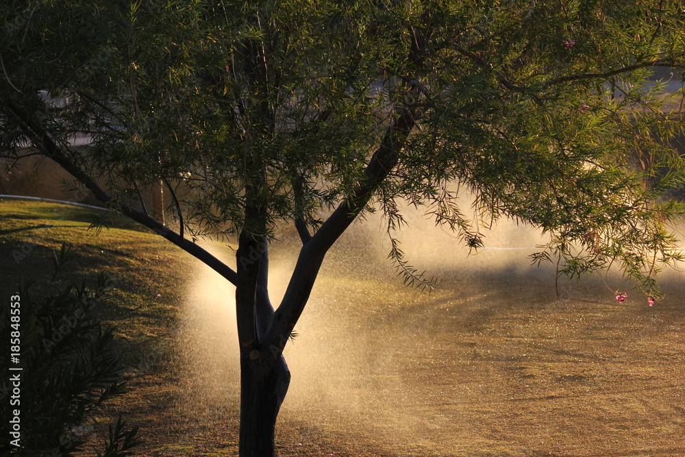 Scottsdale as suburban ranchland, the city has become a sporty yet laid ...