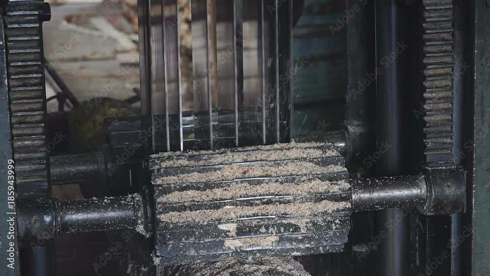 Sawmill cutting. Wooden log being cut with chainsaw. Lumber and timber ...