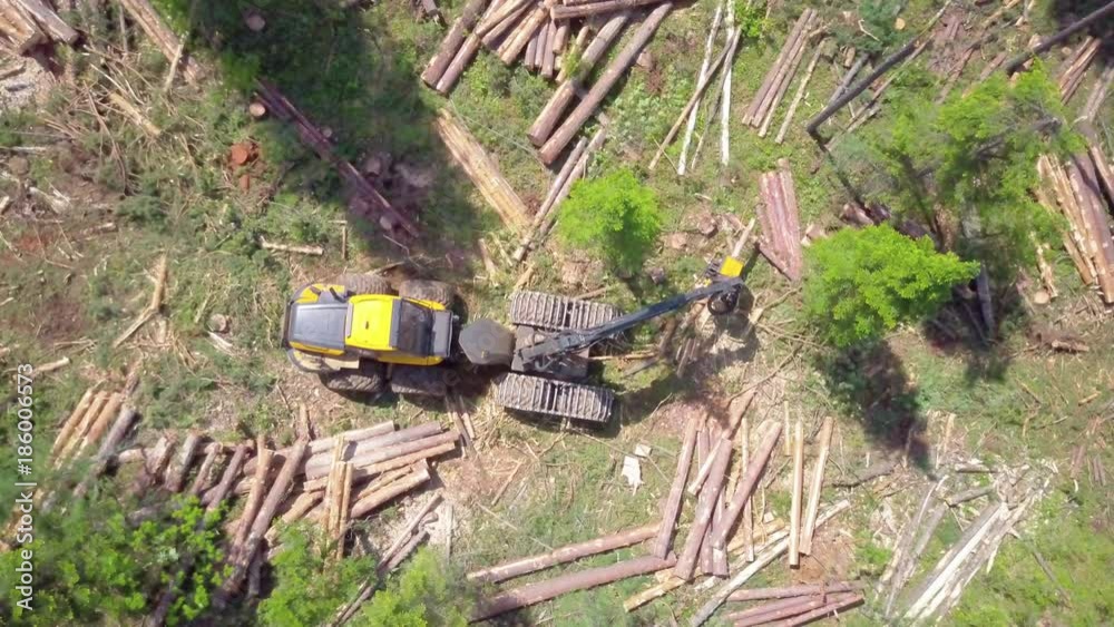 ProRes. Logging from aerial view, Siberian forest. Stock Video | Adobe ...