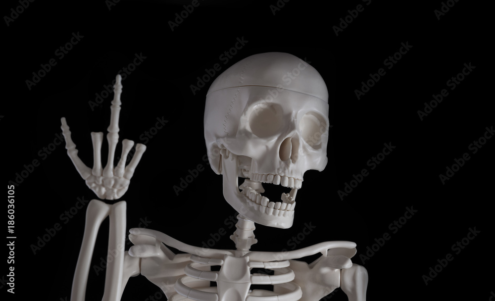 skeleton shows middle finger, black background Stock Photo | Adobe Stock