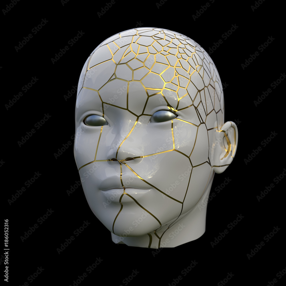 cracked human head Stock Illustration | Adobe Stock